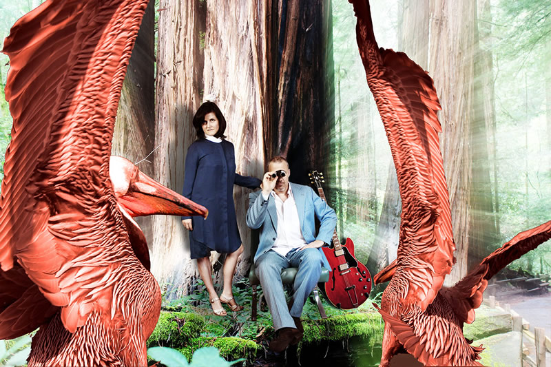 Superstrings Music | About Us